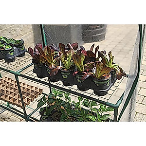 Miracle-Gro 4'8" x 4'8" x 6'5" All-Season Small Walk-in Greenhouse with 8 Wire Shelves for Outdoors, Easy-Access and Durable, Translucent