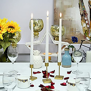 Zest Candle 12-Piece Taper Candles, 12-Inch, White