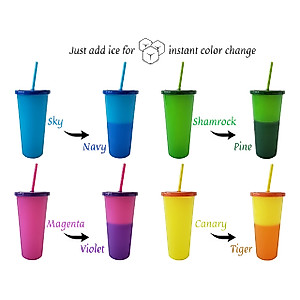 Essential Drinkware 24oz Instant Color Changing Cups Set of 4 Reusable Plastic Tumblers with Screw on Lids and Color Straws