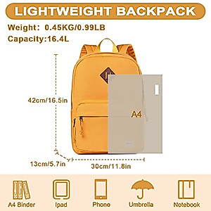 RAVUO Lightweight School Backpack Water Resistant Men Women Classic Bookbag for Teenager Girls Boys