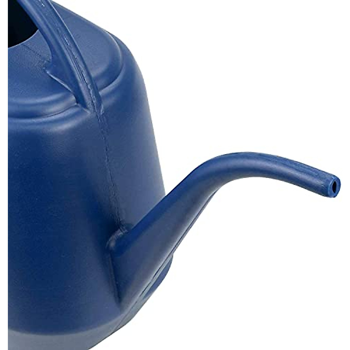 Fasmov Plastic Watering Can, 1-Gallon, Blue