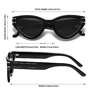 Cat Eye Sunglasses for Women Trendy Classic UV400 Protection Sun Glasses AM110(Black/Grey)