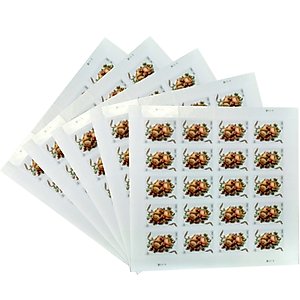 Celebration Corsage Sheet of 20 USPS Forever First Class Two Ounce Stamps Wedding Mother’s Day Proms (5 Sheets of 20 Stamps)