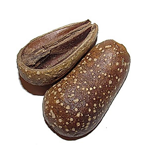 Box Lot of 30 Botanicals for Aquariums: Indian Almond Leaves, Cholla Wood, Birch Cones, Lotus Lafi Twistie Curve Pods, Pear Halves Pods, Coco Curls, Banana Sticks for Freshwater Blackwater Tannins