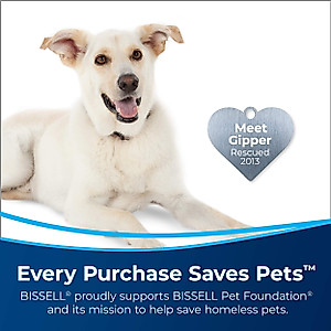 Bissell SpotBot Pet handsfree Spot and Stain Portable Deep Cleaner, Blue, 2117A