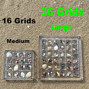XronSlute Large Acrylic Magnetic Seashell Display Box,DIY Seashell Display Box,Clear Storage Box for Seashell,Gemstones,Nail,Jewelry (1Pc 36 Grids Large)