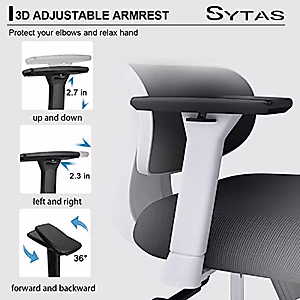 Sytas Ergonomic Home Office Chair, Desk Chair with Lumbar Support, Ergonomic Computer Chair High Back