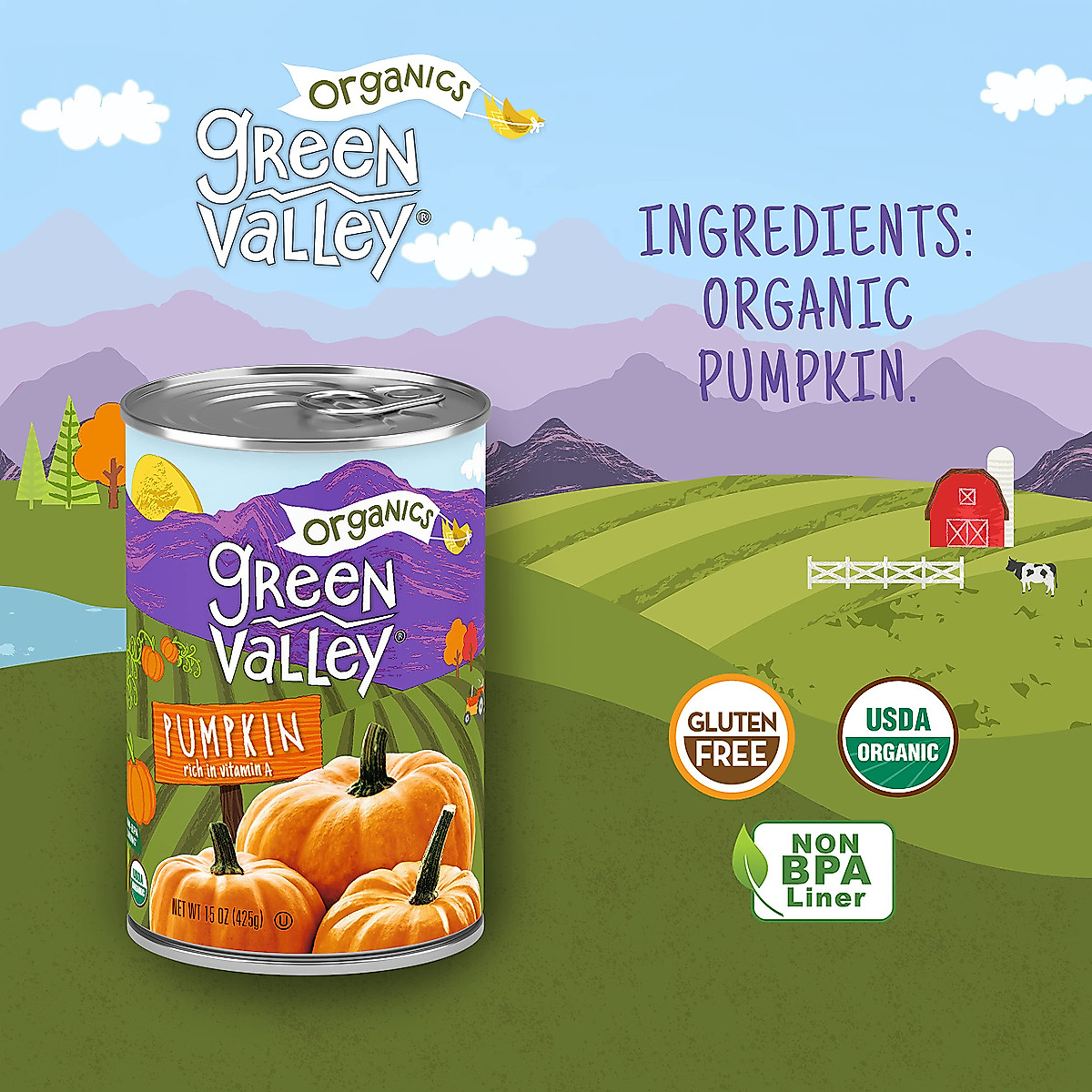 Green Valley Organics Pumpkin | Certified Organic | 100% Dickinson Variety | Sweet Earthy Delicious | Firm & Smooth | Vibrant Autumn Orange | American Grown & Made | 15 oz (Pack of 4)