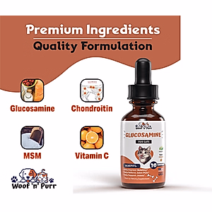 Glucosamine for Cats - Cat Glucosamine - Glucosamine for Cats Liquid - Cat Joint Supplement - Joint Supplement for Cats - Cat Joint Pain Relief - Joint Support for Cats - 1 fl oz - Chicken Flavor