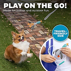 Outward Hound Tail Teaser Interactive Dog Wand Toy, Squeaky Plush Toy Included, Multicolored