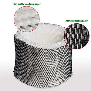 HIFROM Replacement Wick Humidifier Filter Compatible with Holmes HM3500, HM3501, HM3600, HM3608, HM3640, HM3641, HM3650, HM3655, HM3655BF, HM3656 replace HWF75 HWF75CS HWF75PDQ-U - Filter D (2 Pcs)