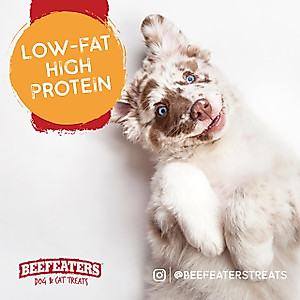 Beefeaters Dog Treats - 4in Bully Sticks 2oz | All-Natural, Highly Digestible | Dog Food Promotes Dental Health | No Additives or Preservatives | Training Treats for All Dog Sizes