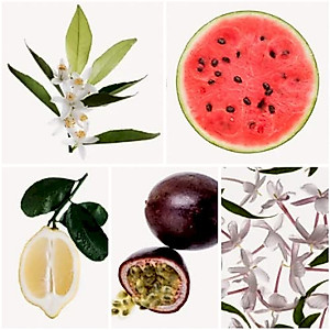 Shakira Rock for Women - Long Lasting - Fresh, Femenine and Dynamic Fragance - Floral and Fruity Notes - Ideal for Day Wear - (2.7 Fl Oz)