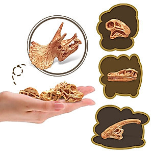 LC JoyCre Mini Dinosaur Bones for Sandbox Kids Toys Realistic Fake Dinosaur Bones for Kids Toys Dinosaur Bones for Kids to Dig Up