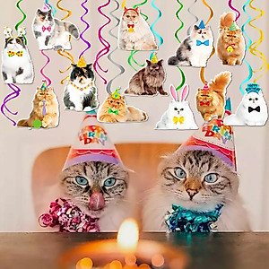 20Pcs Persian Cat Hanging Swirls Cat Themed Birthday Party Decorations Kitten Birthday Foil Ceiling Swirls Persian Cat Party Streamers for Pet Cat Baby Shower Supplies
