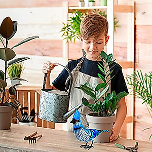 Shefio Garden Decor - Blue Jay Bird Decor, Beautiful Backyard Ideas & Garden Gifts - These Handmade Metal Birds are Perfect Outdoor Decor, Metal Yard Art for Lawn Ornament, Yard Decorations Outdoor