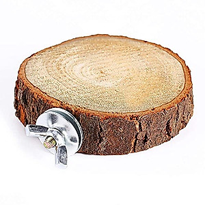 Parrot Wood Round Stand, Natural Wooden Bird Cage Chew Toy Bird Perch Platform for Canary Parakeet Cockatiel Parrot Sparrow
