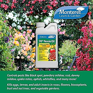 Monterey LG6140 70% Neem Oil 16 Ounce, Clear