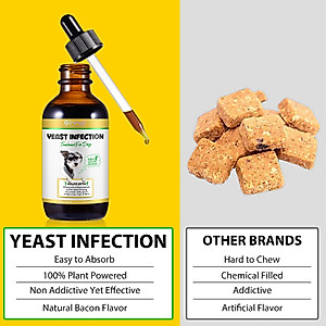 Natural Yeast Infection Treatment for Dogs - Supports Healthy Itch Relief & Inflammation - Dog Ear Infection Treatment & Allergy Relief - Itch Relief for Dogs, Dog Ear Treatment for Infections-2 fl oz
