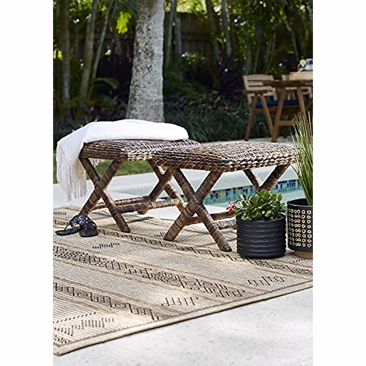 Momeni Hampton Transitional Indoor/Outdoor Area Rug, Natural, 4'1" X 6'