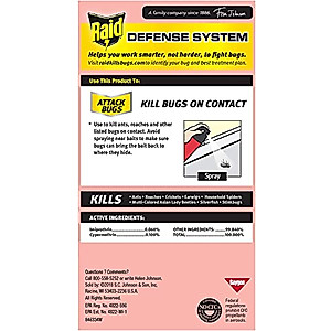 Raid Ant & Roach Killer Outdoor Fresh Cans 12 oz. (Pack of 3)