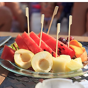 BLUE TOP 300Pcs Bamboo Paddle Picks, 3.5 Inch Sturdy Flat Skewers Food Appetizer Toothpicks for for Fruit, Grilling, Drink, BBQ, Barbecue, Yakitori Chicken, Fondue, Roasting,Cocktail, Marshmallow