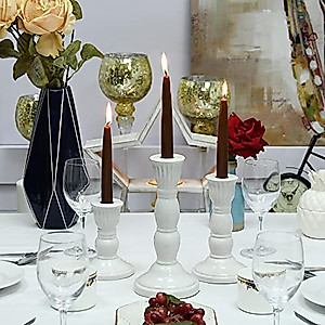 Zest Candle, 6-Inch, Brown 12-Piece Taper Candles, Count