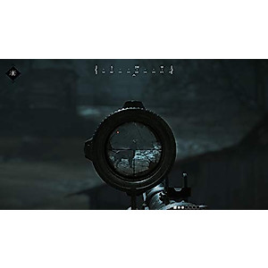 HUNT Showdown: Limited Bounty Hunter Edition - PlayStation 4