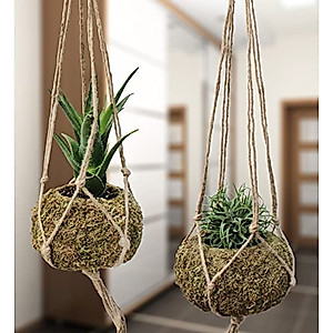 Esterno Kokedama Hanging Planters (Set of 3, 5.5in Diameter); Japanese Moss Ball Plant Holder for Ferns, Succulents, Orchids Etc