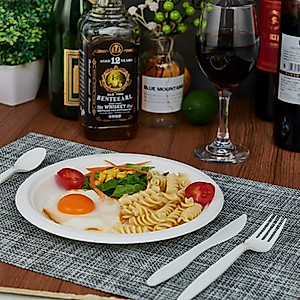 ECOLipak 9 inch 150 Pack Compostable Paper Plates, Heavy Duty Disposable Biodegradable Eco-friendly Sugarcane Bagasse Plates for Party Dinner