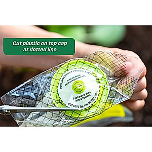 RESCUE! Disposable Yellowjacket Trap - Central & Eastern Formula - 2 Traps