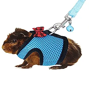 Rypet Guinea Pig Harness and Leash - Soft Mesh Small Animal Harness with Safe Bell, No Pull Comfort Padded Vest for Guinea Pigs, Ferret, Chinchilla and Similar Small Animals