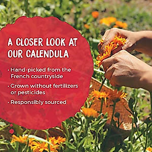 Boiron Calendula Cream for First Aid, Minor Burns, Cuts, Scrapes, Insect Bits and Sunburn - 2.5 oz