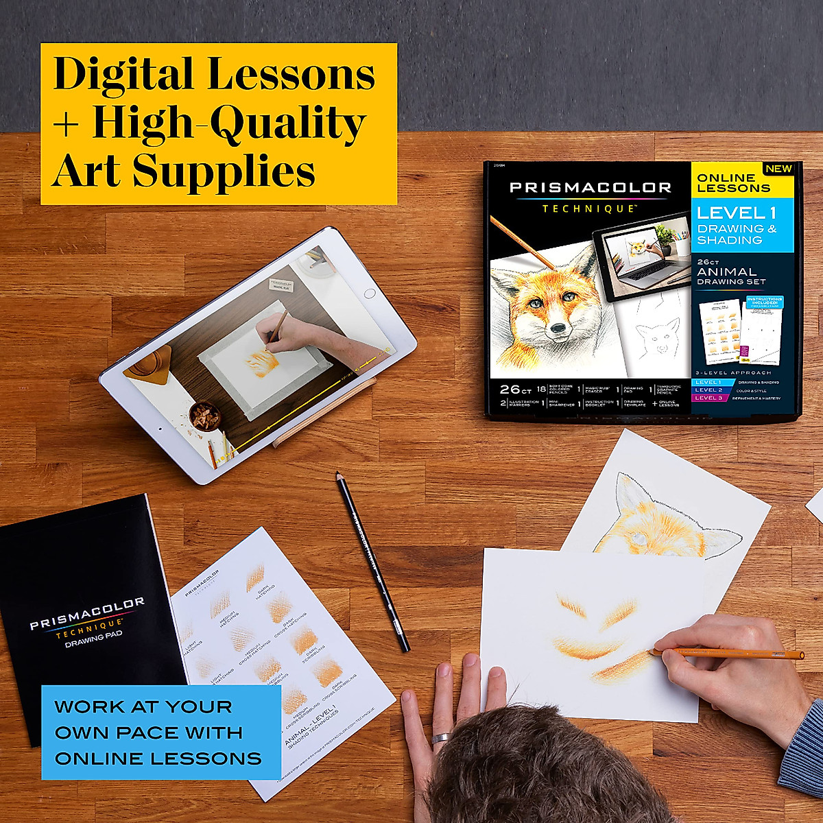 Prismacolor Technique, Art Supplies with Digital Art Lessons, Animal Drawings Set, 26 Count & Technique, Art Supplies and Digital Art Lessons, Nature Drawing Set, 26 Count
