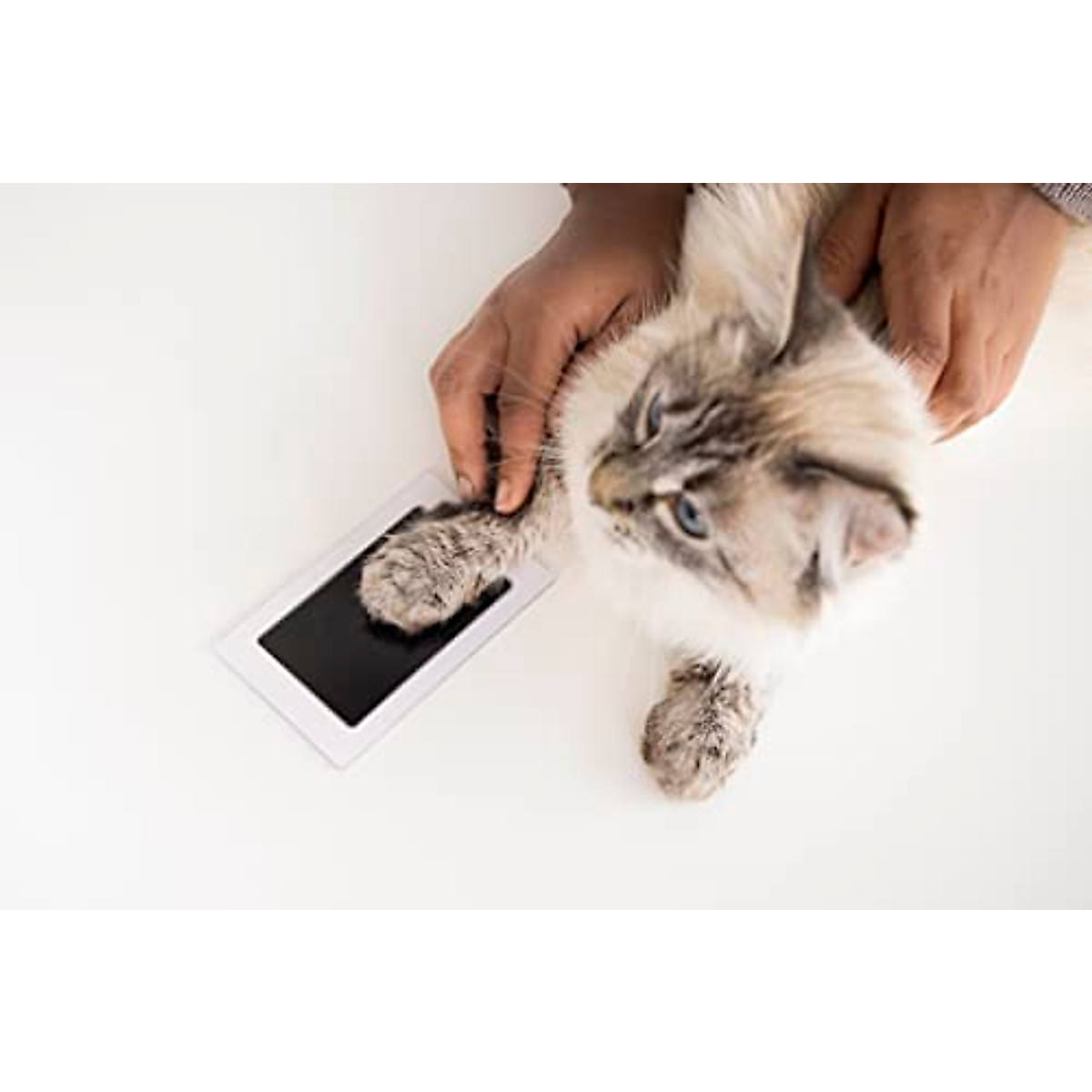 Pearhead Small Pet Paw Print Clean-Touch Ink Pad and Imprint Cards, for Small Sized Cats or Dogs, Pet Owner Gifts, DIY Keepsake Pawprint Maker, Black