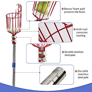 13FT Fruit Picker Pole with Basket Apple Orange Picker Tool Tree Fruit Catcher with Lightweight Stainless Steel Connecting Pole, Sturdy Basket with Foam Pad, Metal Clamp