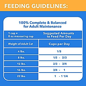 Iams Healthy Enjoyment Dry Cat Food Chicken & Salmon Recipe, 3 lb. Bag
