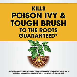 Roundup Concentrate Poison Ivy Killer Plus Tough Brush Killer for Weeds, Grass, Stumps with 24 hours Results, 32 oz.