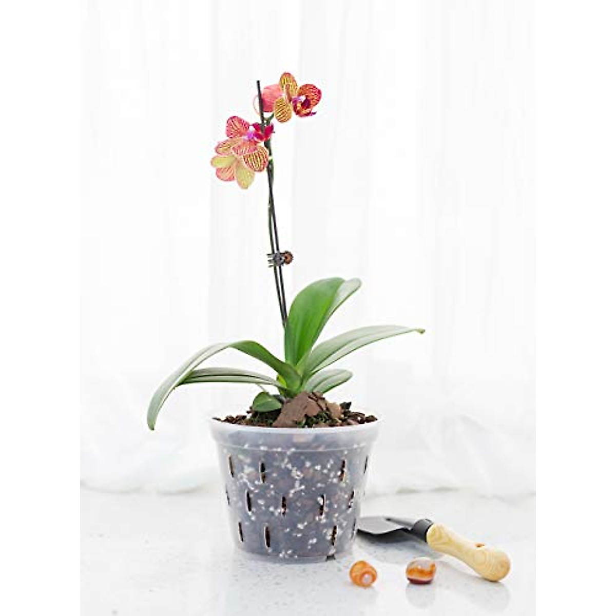 TRUEDAYS Orchid Pots with Holes Plastic Flower Plant Pot Clear Plastic Orchid Pot for Indoor Outdoor, 4.5 Inch 4 Pack
