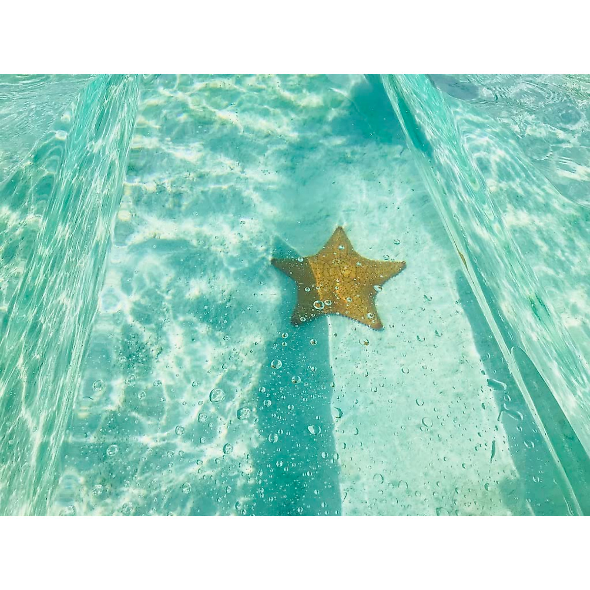 Genuine Crystal Kayak by The Crystal Kayak Company | Clear Commercial Grade Single/Double Riders | Transparent Hybrid Kayak/Canoe | Exploring, Fishing, Rental or Family Fun!