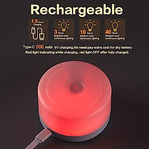 S SELDORAUK Baby Night Light Nursery Night Light for Kids - USB Rechargeable Bedside Lamp Nightlight Lamp - Touch Control Nursery Lamp for Breastfeeding, Sleeping and Relaxing (Cool Light)
