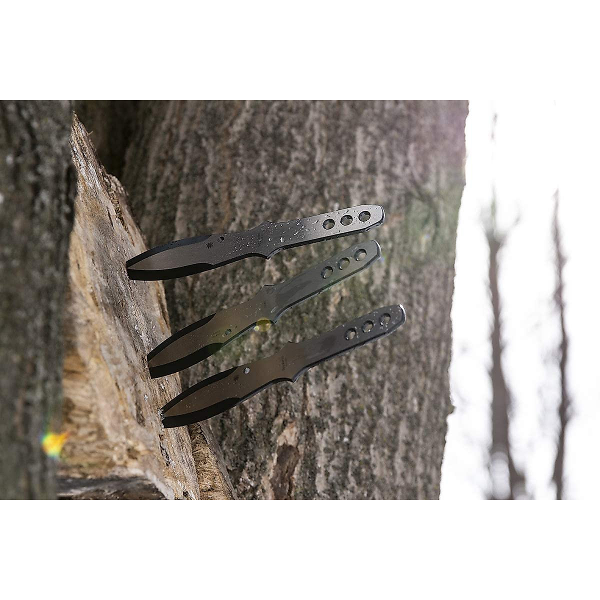 Spyderco SpyderThrowers - Large - Set of Three 8Cr13MoV Stainless Steel Knives and Leather Sheath - TK01LG