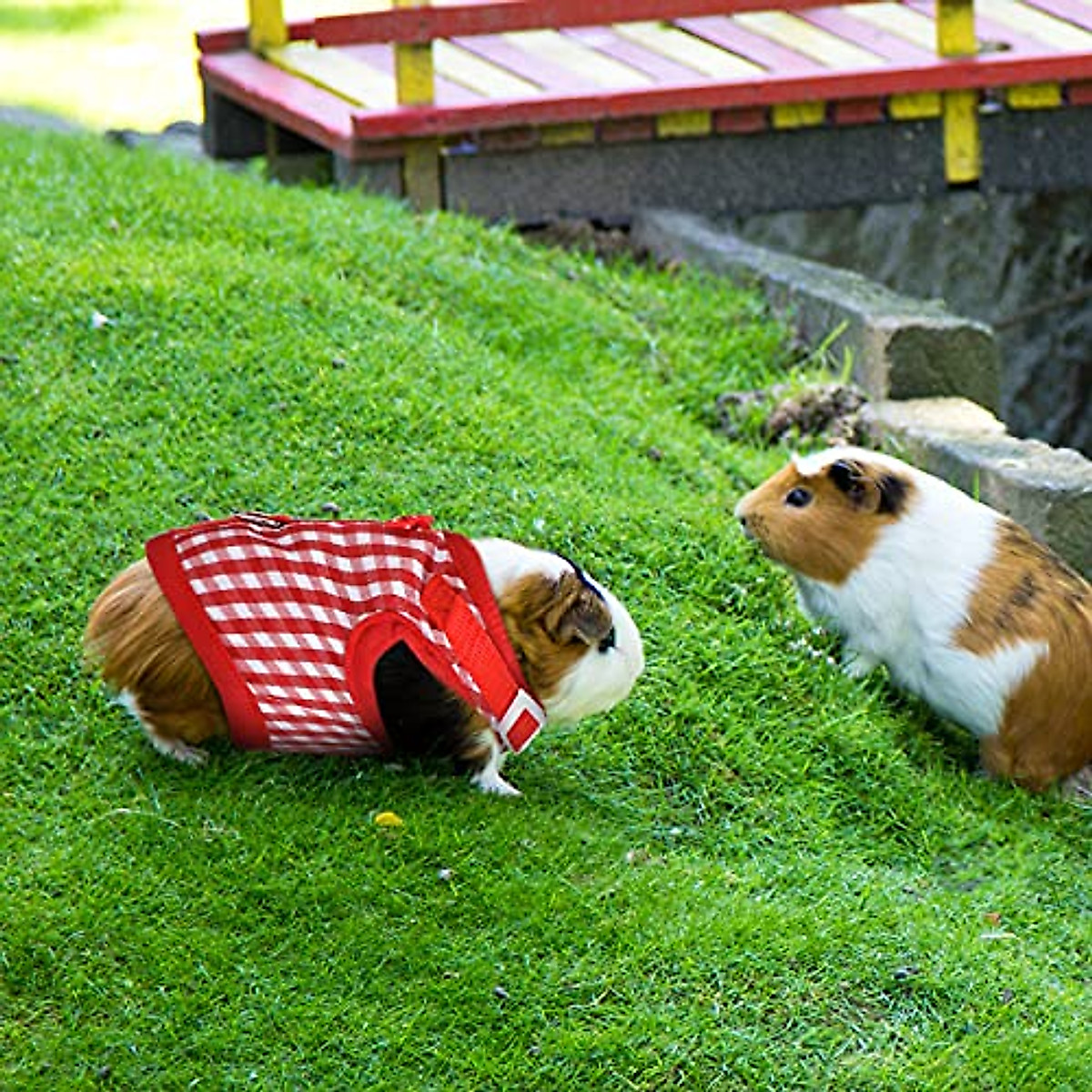 3 Pieces Guinea Pig Harness with Leash Small Pet Harness Fruit Plaid Pattern Adjustable Padded Walking Vest for Pet Hamster Ferret and Squirrel Small Animals (Pineapple, Red Plaid, Strawberry, Small)