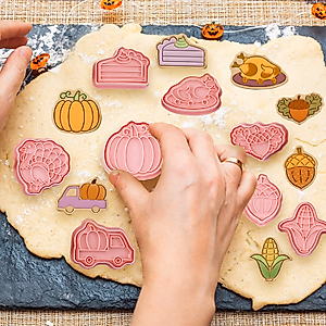 16 Pieces Fall Thanksgiving Cookie Cutters with Plunger Stamps Set Fall Biscuit Mold Maple Leaf Turkey Pumpkin 3D Cookie Stamper Plastic DIY Cookie Tools for Thanksgiving Day Baking Fondant Supplies