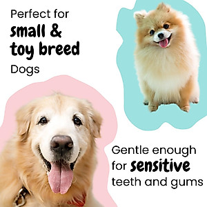 Otterly Pets 7-Piece Dog Toothbrush Set for Sensitive Teeth – 5 Double-Sided Silicone Brushes & 2 Soft Bristled Brushes for Gentle, Effective Cleaning