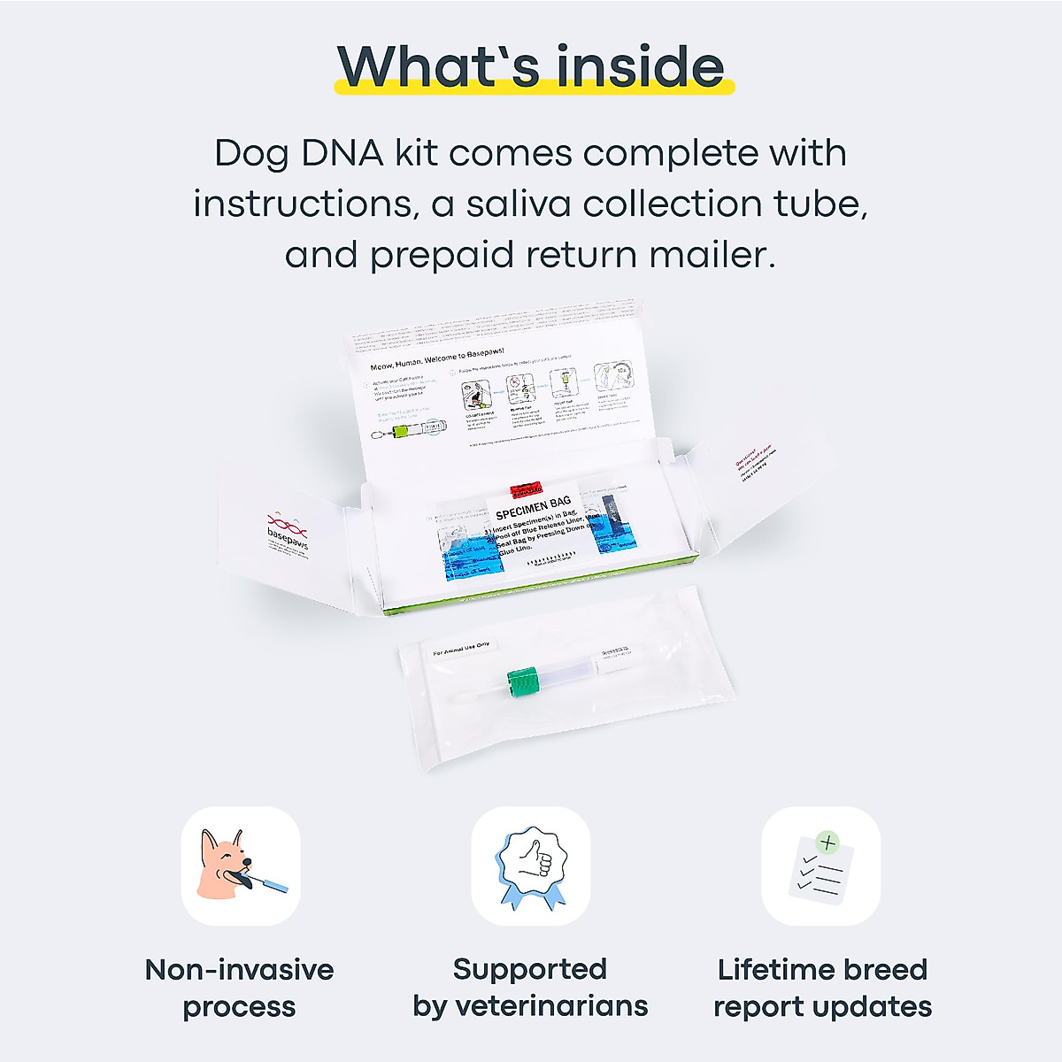 Basepaws Dog DNA Testing Kit - 300+ Breeds, 280+ Health Risks, and 30+ Traits - Comprehensive Health, Trait, and Mixed Breed Identification, Dog DNA Test kit, Test Dogs Genetic Ancestry and Heritage