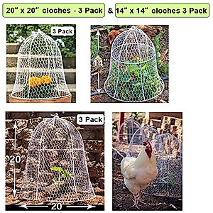 HEIDI & OLAV 3 Pack 20" & 3 Pack 14" Chicken Wire Cloche for Plants Squirrel Proof Metal Plant Cover Cage Garden Animal Protection Metal Plant Cage Protector Dome Rabbit Bunny Guard