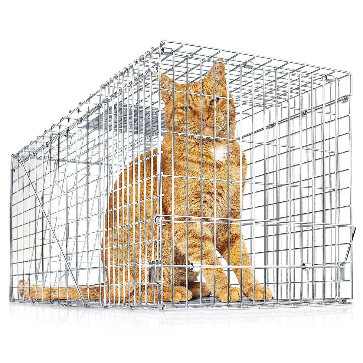 eXuby Large Cat Trap for Stray/Feral Cats & Other Animals - 32"x12"x13” - Catch Them Live & Relocate - Extra Large 8.5" Trigger Platform - Also for; Racoon, Rabbit, Possum, Skunk, Bobcat, Squirrel
