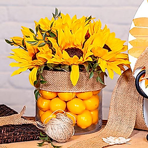 Morex Ribbon 1252.60/10-004 Burlap 2.5" X 10 YD Jute Wired Ribbon, Natural, Arts & Crafts Burlap Roll for Wedding Decor and Farmhouse Christmas Decor, Rustic Christmas Decorations Indoor Home Decor