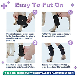 Dog Leg Brace for Back Leg Rear Leg Hock Ankle, Dog Hip Brace for Sprains, Torn Ligaments and Post-Op, Strong Support Help, Lightweight, Promotes Faster Recovery and Reduce Pain, 1 Pair, Medium
